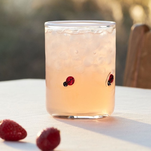 Anthropologie | Dining | Anthropologie Icon Juice Glass Ladybug | Poshmark